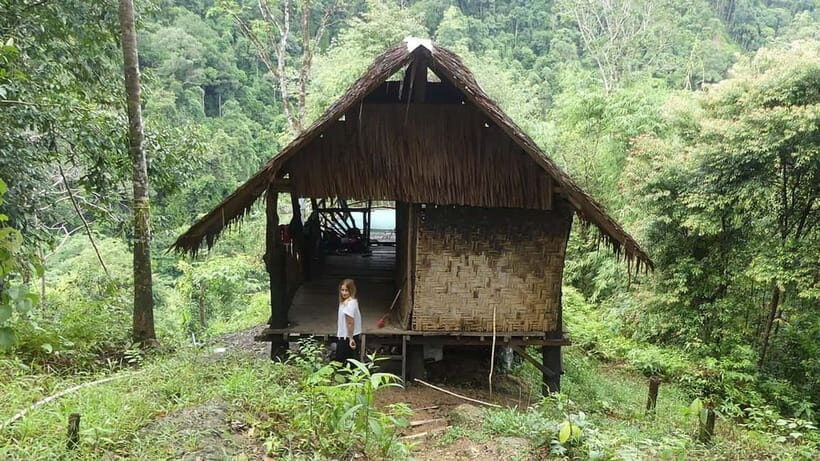 Medan Day Tour: Bukit Lawang Orangutan Trekking - Jungle Trekking: An Up-Close Wildlife Encounter
