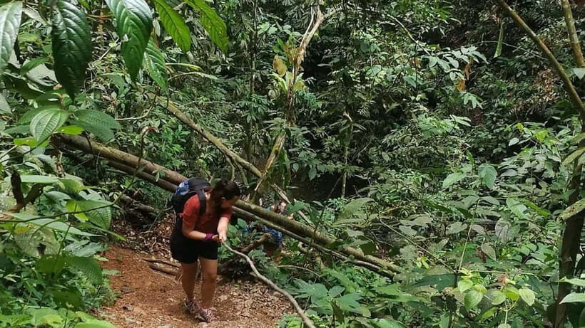Medan Day Tour: Bukit Lawang Orangutan Trekking - Practical Considerations: What to Bring & What to Expect