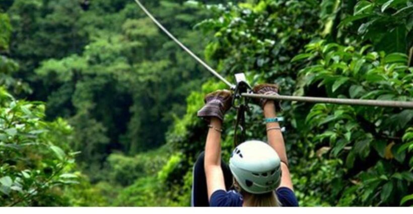 Medellin: 4-Hour Zip-Line Adventure - Setting the Scene: Why Choose This Tour?