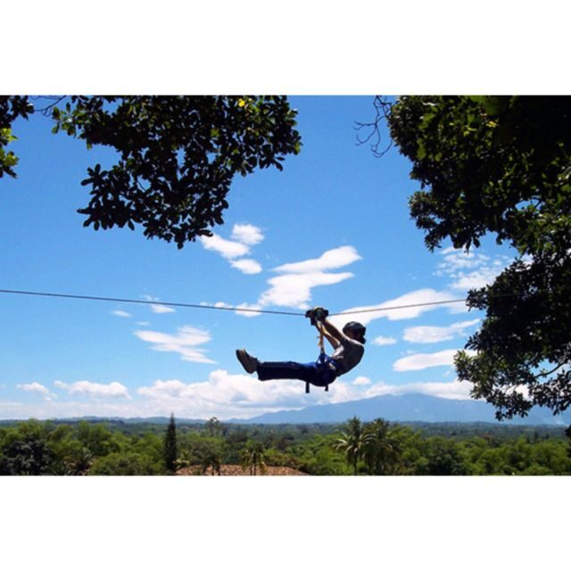 Medellin: 4-Hour Zip-Line Adventure - Authentic Feedback from Travelers