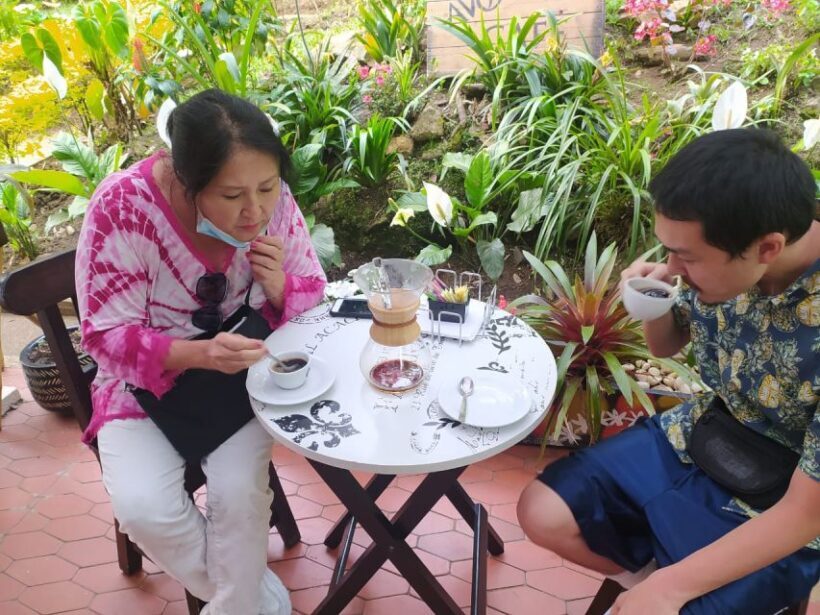 Medellin: Avoeden Café Coffee Brewing Workshop - A Closer Look at the Coffee Workshop Experience