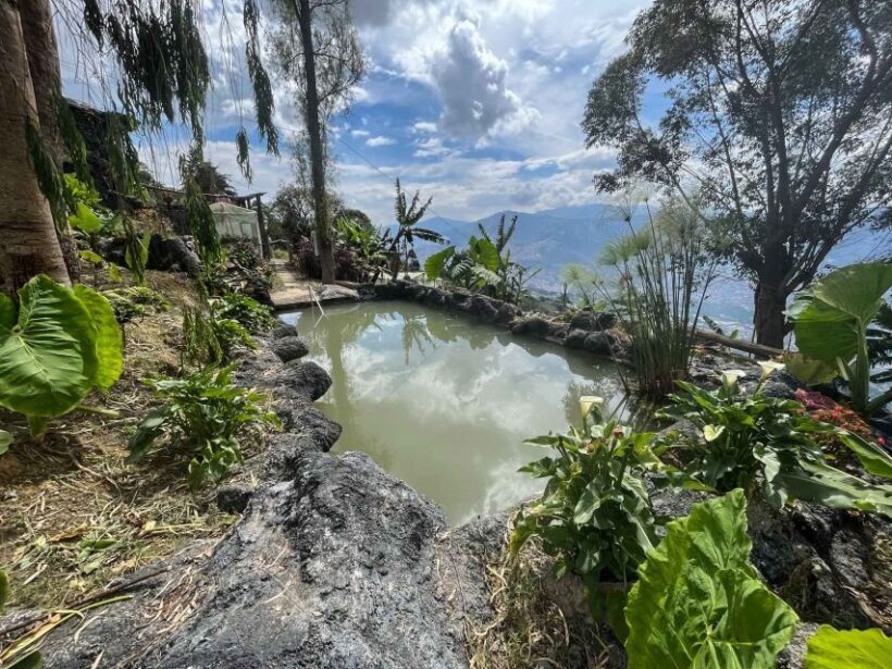 Medellin birding Arví Forest Cabin - Key Points