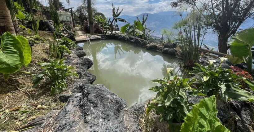 Medellin birding Arví Forest Cabin - An In-Depth Look at the Medellin Birding Arví Forest Cabin Tour