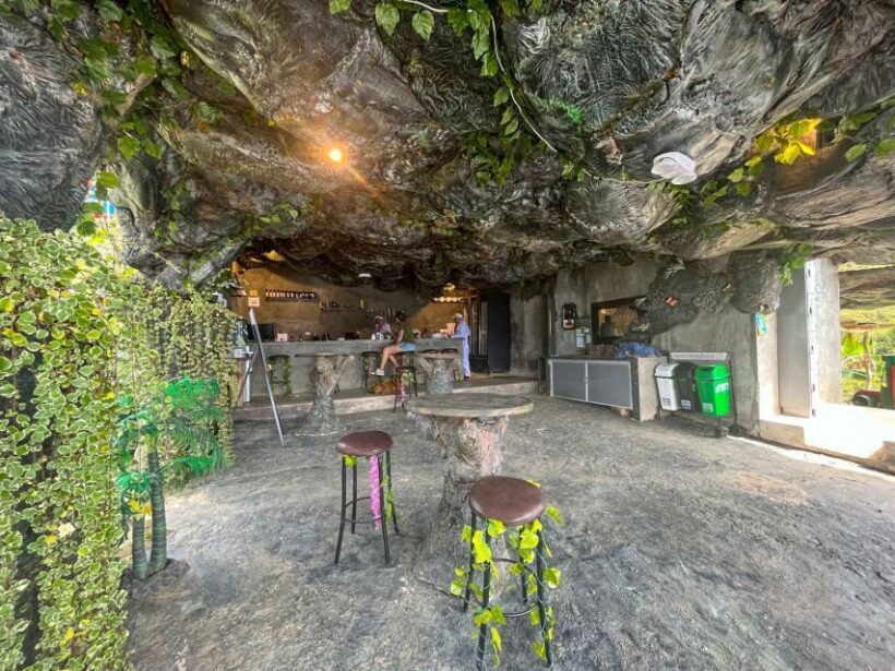 Medellin birding Arví Forest Cabin - Final Thoughts