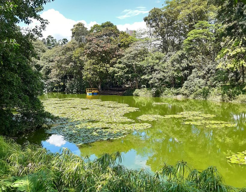 Medellín: Botanical Garden and Arvi Park City Tour - An Introduction to the Medellín Botanical Garden and Arvi Park Tour