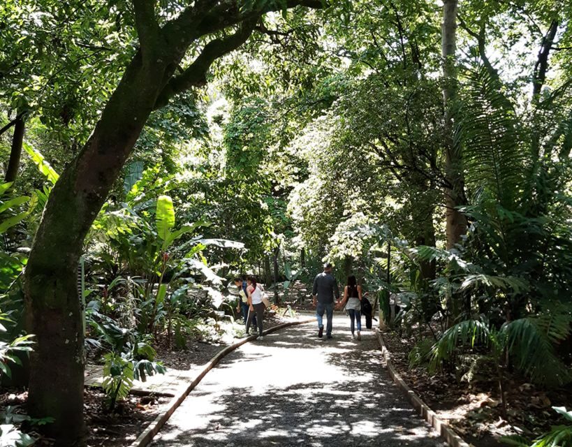 Medellín: Botanical Garden and Arvi Park City Tour - Authentic Experiences and Tips