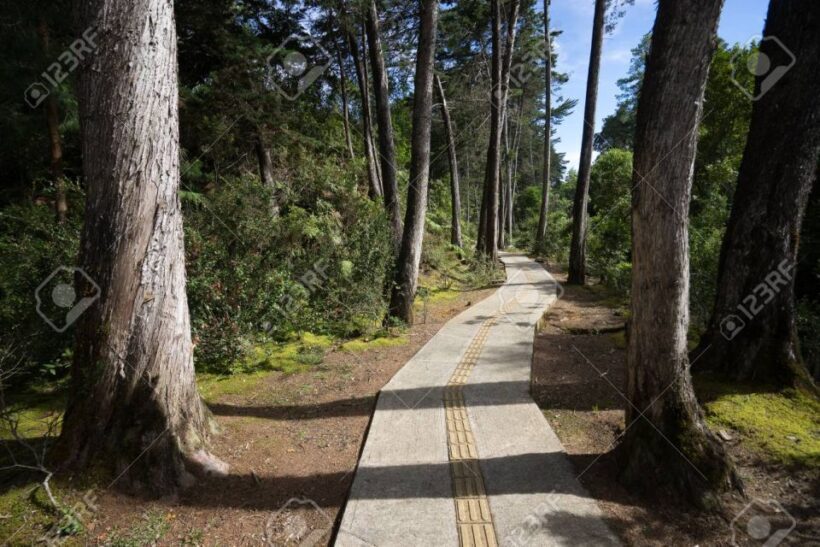 Medellín: Botanical Garden and Arvi Park City Tour - Who Should Consider This Tour?