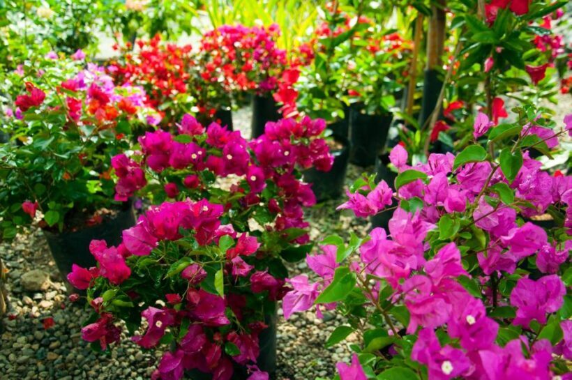 Medellín: Botanical Garden and Arvi Park City Tour - The Sum Up