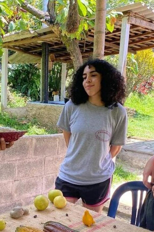 Medellin: Chocolate Roads Tour with Waterfall Experience - Key Points