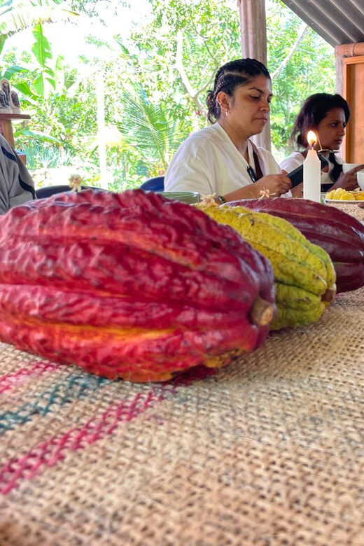 MEDELLÍN: CHOCOLATE TOUR & EXFOLIATION IN BEAUTIFUL RIVER! - Key Points