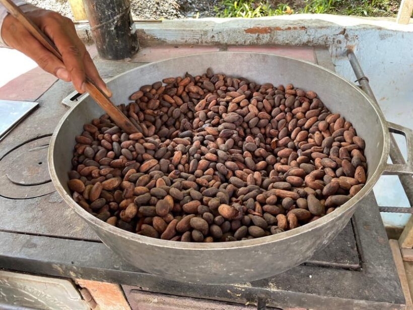 MEDELLÍN: CHOCOLATE TOUR & EXFOLIATION IN BEAUTIFUL RIVER! - The Full Experience: From Farm to River to Sweet Treats