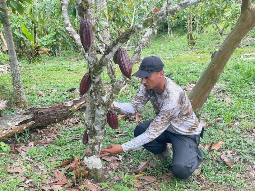MEDELLÍN: CHOCOLATE TOUR & EXFOLIATION IN BEAUTIFUL RIVER! - Authentic Experiences & Honest Feedback