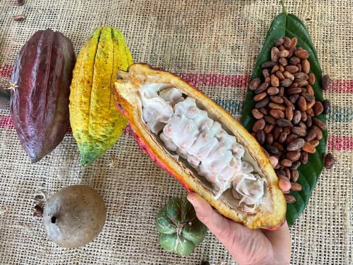 MEDELLÍN: CHOCOLATE TOUR & EXFOLIATION IN BEAUTIFUL RIVER! - The Sum Up