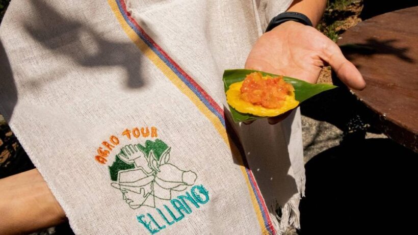 Medellin: Coffee and fruit tour - Key Points