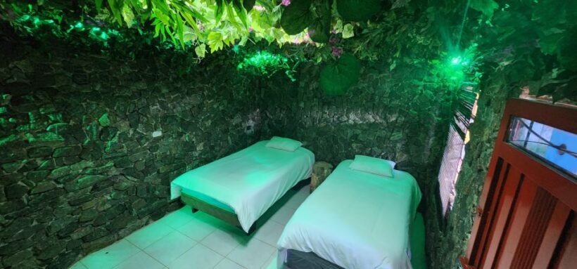 Medellin: Coffee Farm Tour & Spa with Overnight Glamping - Additional Highlights