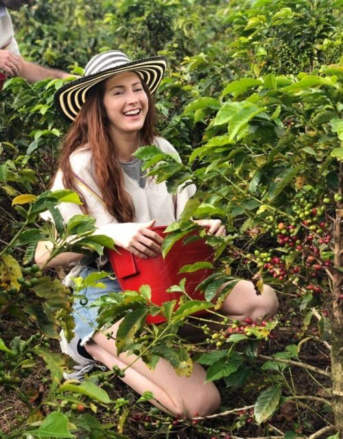 Medellín Coffee Farm Tour with Trolley and Cable Car Ride - Key Points