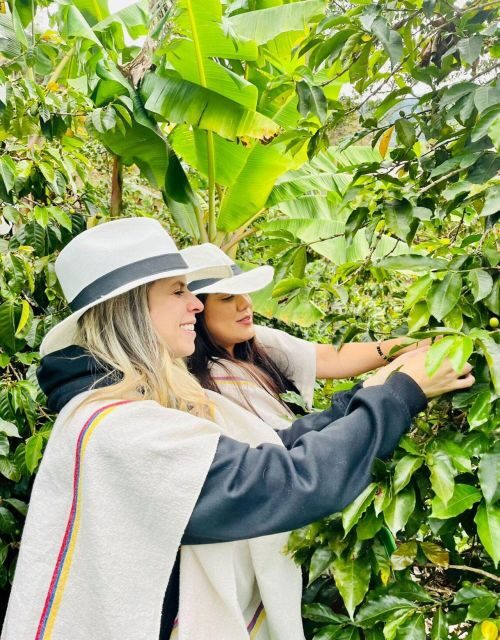 Medellín Coffee Farm Tour with Trolley and Cable Car Ride - The Value of the Tour