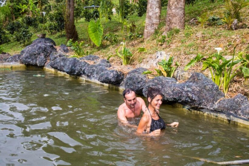 Medellin: Coffee Tour and Wellness Spa - The Sum Up: Who Will Love This?