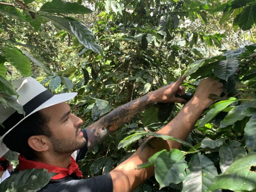 Medellín: Coffee Tour With Tastings and Lunch - FAQ