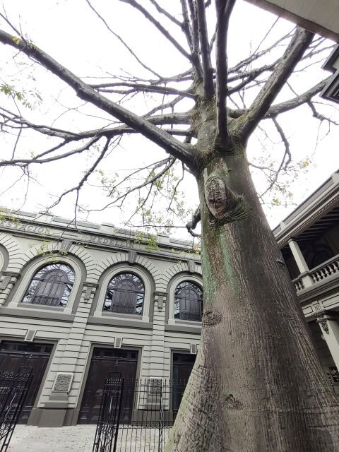 Medellin downtown: History and culture through fun stories - FAQ