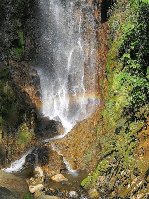 MEDELLIN: GARDEN TOUR + ANDES (PANORAMIC) + TROUT FARM - Authentic Experiences With an Eye on Value