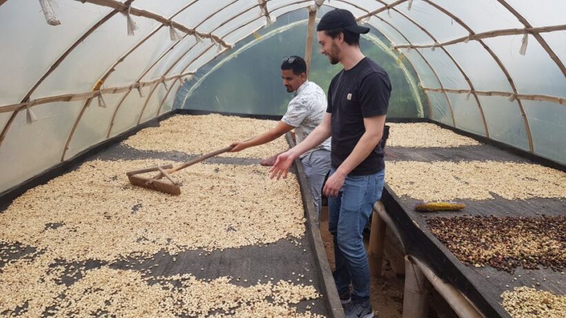 Medellin: Guatape, El Peñol Coffee Farm Private Tour & Fruit - A Close Look at the Medellín: Guatape, El Peñol Coffee Farm Private Tour & Fruit