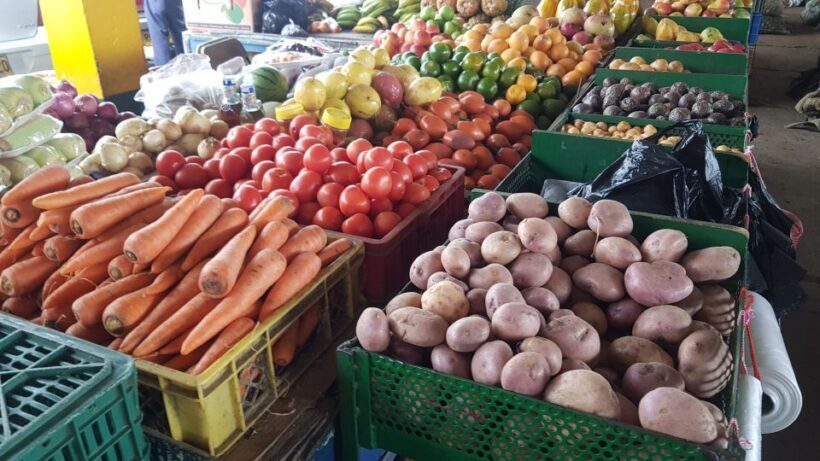 Medellin: Guatape, El Peñol Coffee Farm Private Tour & Fruit - What Travelers Love