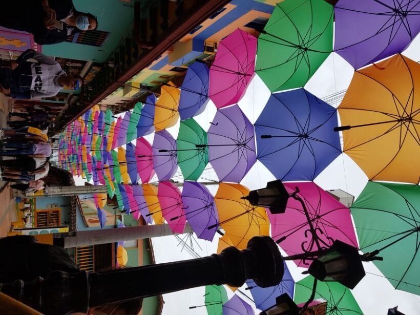 Medellin: Guatape, El Peñol Coffee Farm Private Tour & Fruit - Who Will Love This Tour?