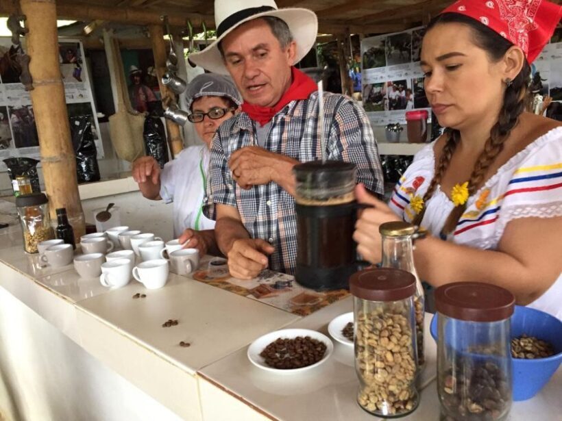 Medellín: Guatape Village with Coffee and Fruit Tasting Tour - Coffee and Fruit Tasting: A Colombian Classic