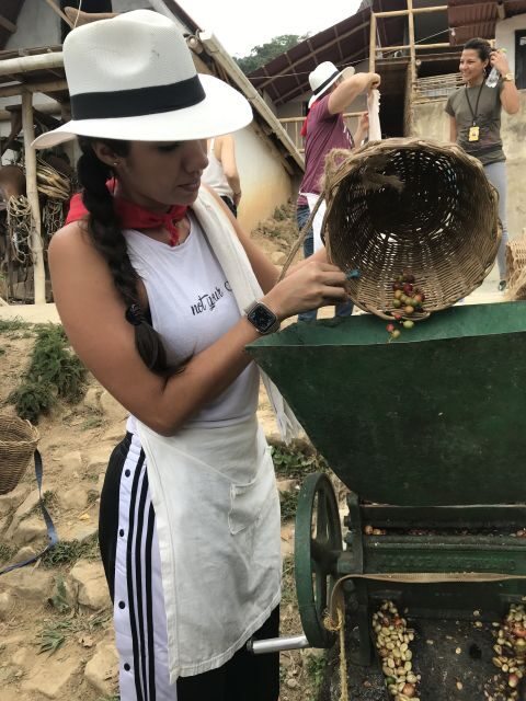 Medellín: Guatape Village with Coffee and Fruit Tasting Tour - The Charm of Guatapé: A Colorful Town