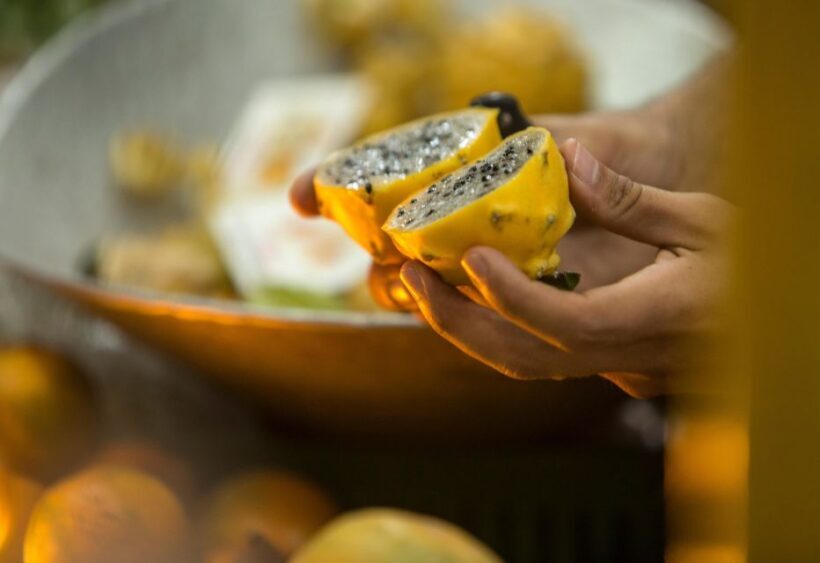 Medellín: Guided Exotic Fruits Tour - Key Points