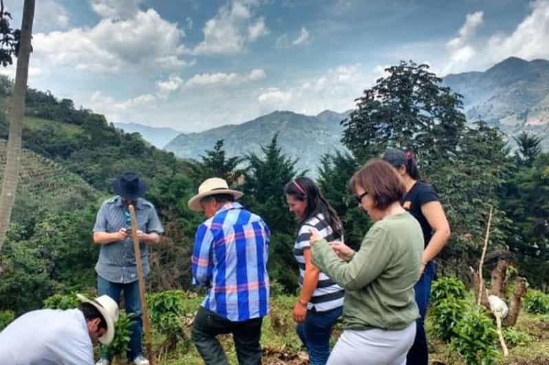 MEDELLÍN: HALF-DAY COFFEE TOUR AT LOCAL FAMILY FARM - Exploring Medellíns Coffee Culture
