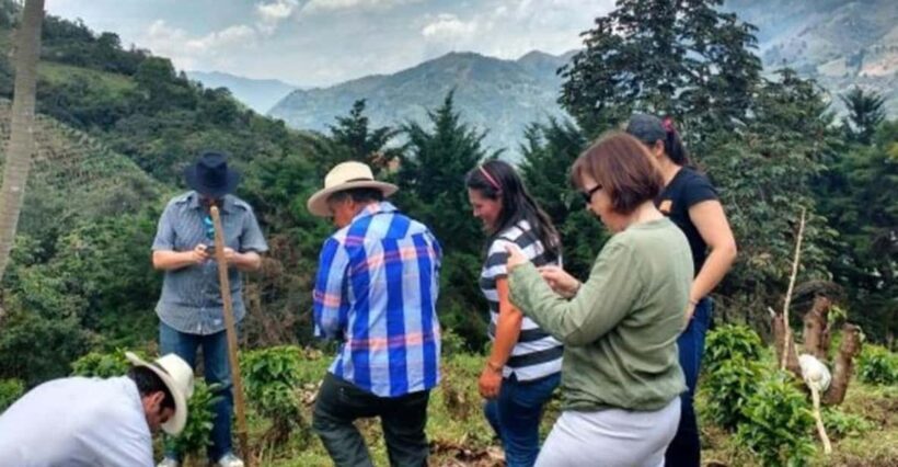 MEDELLÍN: HALF-DAY COFFEE TOUR AT LOCAL FAMILY FARM - The Scenic Viewpoint