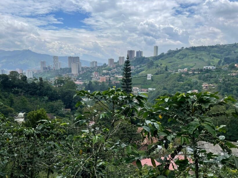 MEDELLÍN: HALF-DAY COFFEE TOUR AT LOCAL FAMILY FARM - Who This Tour Is Best For