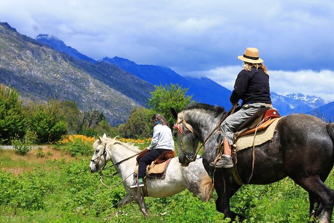 Medellin: Horseback Riding Adventure In Nature (Dont Overpay) - Customer Feedback and Experiences
