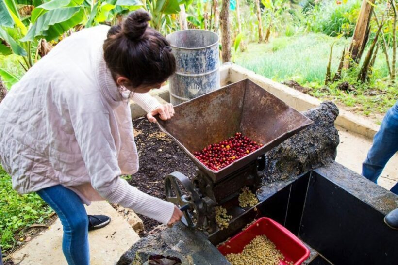Medellin: Horseback Riding Coffee Farm Tour with Coffee Spa - Exploring the Tour: A Deep Dive