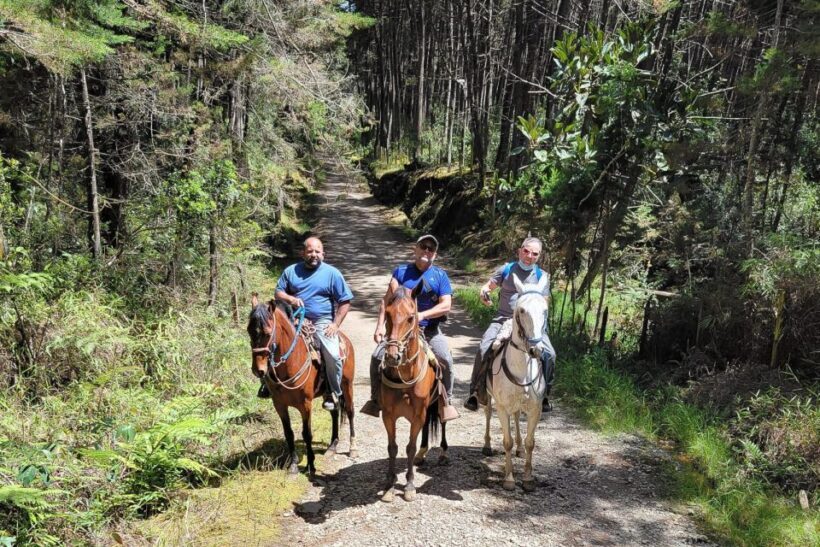 Medellin: Horseback Riding Coffee Farm Tour with Coffee Spa - Authentic Experiences Recap