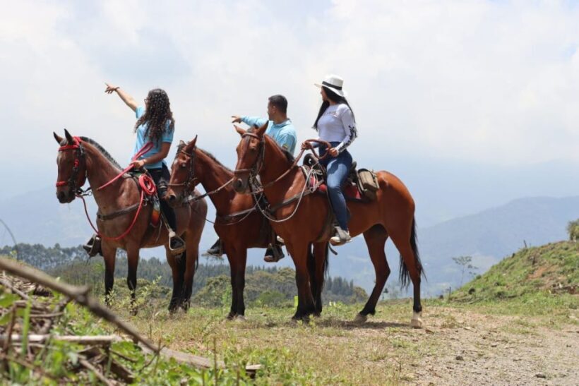 Medellin: Horseback Riding in the Medellin Mountains - Key Points