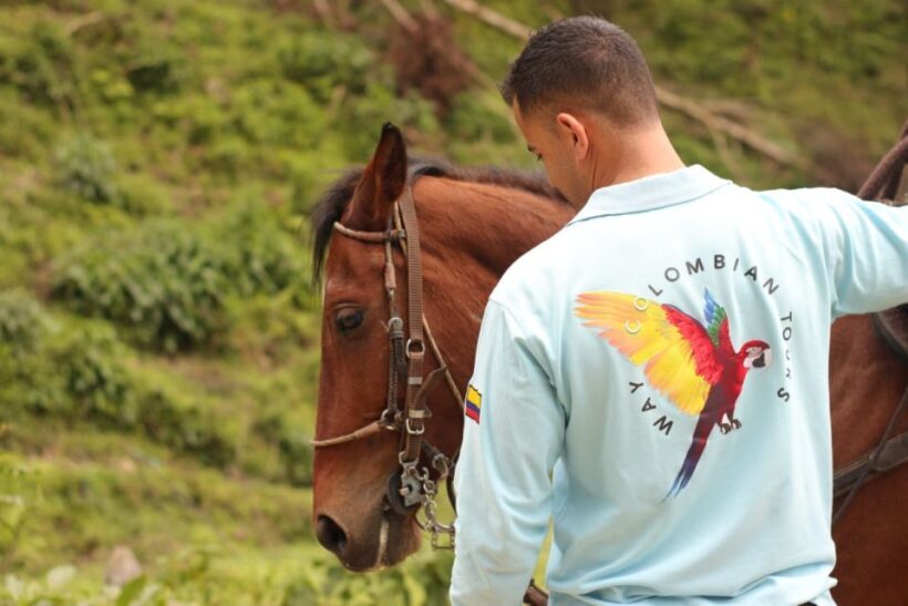 Medellin: Horseback Riding in the Medellin Mountains - An Authentic Ride Through Medellin’s Green Mountains