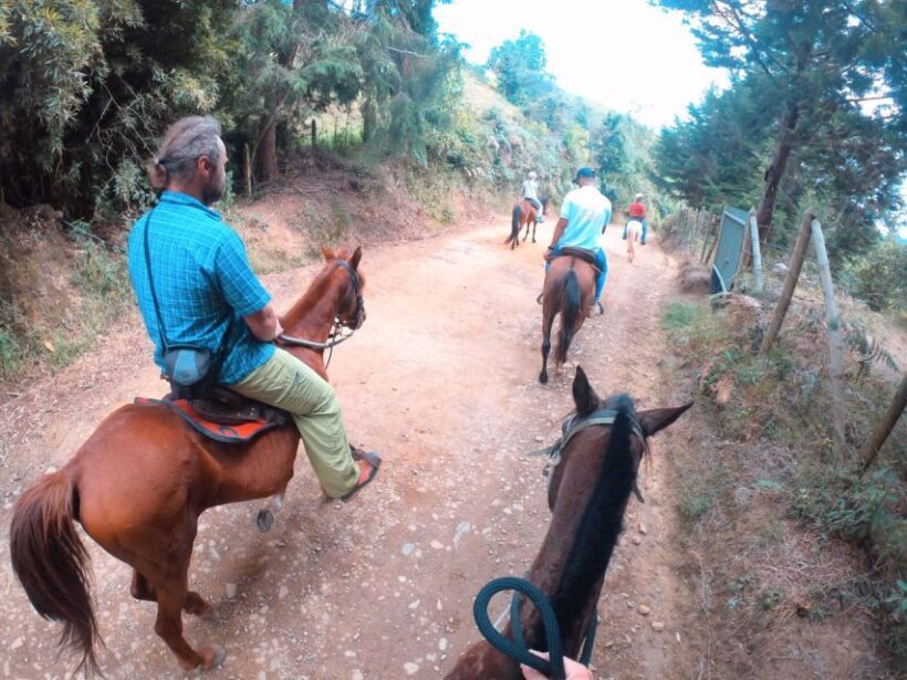 Medellin: Horseback Riding in the Medellin Mountains - Final Thoughts: Is It Worth It?