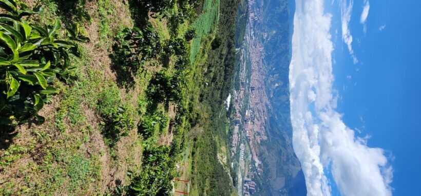 Medellin: Mountain Bike Coffee Farm Tour and Spa Experience - FAQ