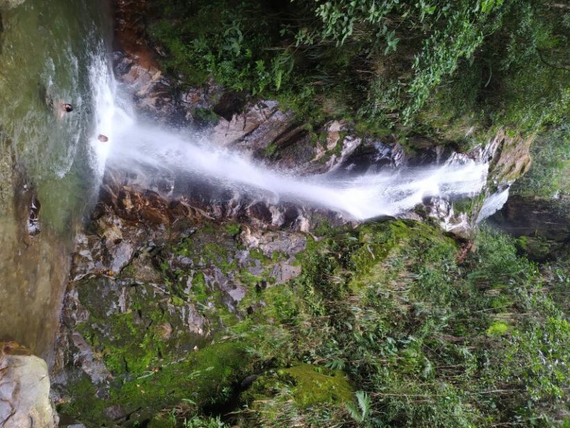 Medellín: Nature Experience & Waterfall-Hike - Key Points
