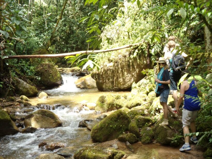Medellín: Nature Experience & Waterfall-Hike - Authentic Experiences from Travelers