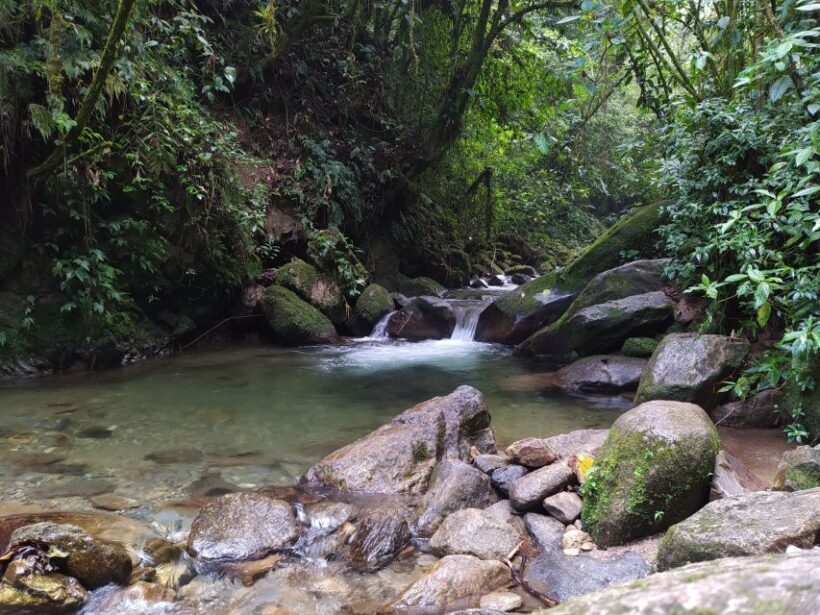 Medellín: Nature Experience & Waterfall-Hike - Who Will Truly Enjoy This Tour?