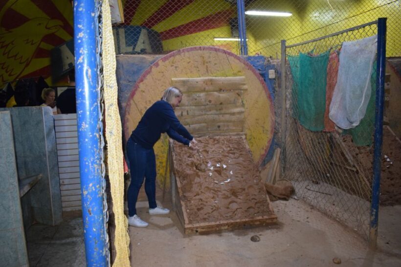 Medellin: Private Tejo Sport Experience with Transfer & Beer - The Value of This Experience