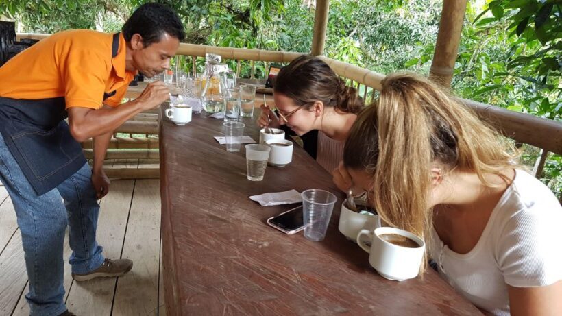 Medellin to Fredonia for a Coffee Day Tour - Key Points