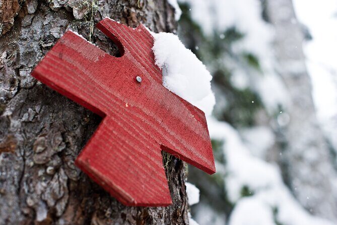 Medicine Trail Snowshoe Tour - The Experience in Detail