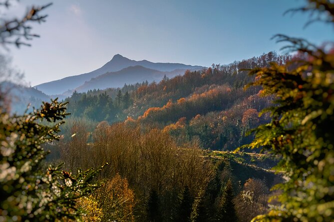 Medieval Castles and Girona Exclusive trip with Catalan Lunch - Who Should Consider This Tour?