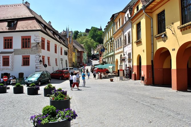 Medieval Sighisoara & Rural Viscri - PRIVATE tour- LUNCH INCLUDED - Who Should Consider This Tour?