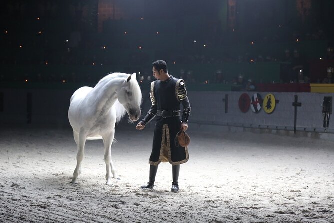 Medieval Times Dinner Show in Orlando - Accessibility Features
